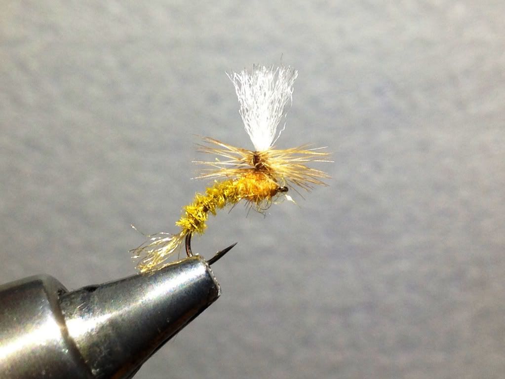Sulphur Emerger - Fly Tying - Maine Fly Fish