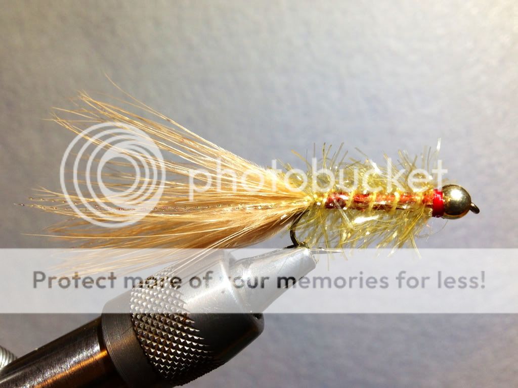 Golden Retriever - Fly Tying - Maine Fly Fish