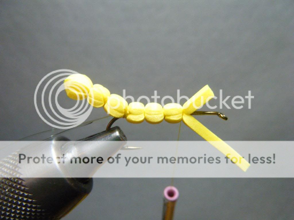 Foam Hopper Step by Step - Fly Tying - Maine Fly Fish