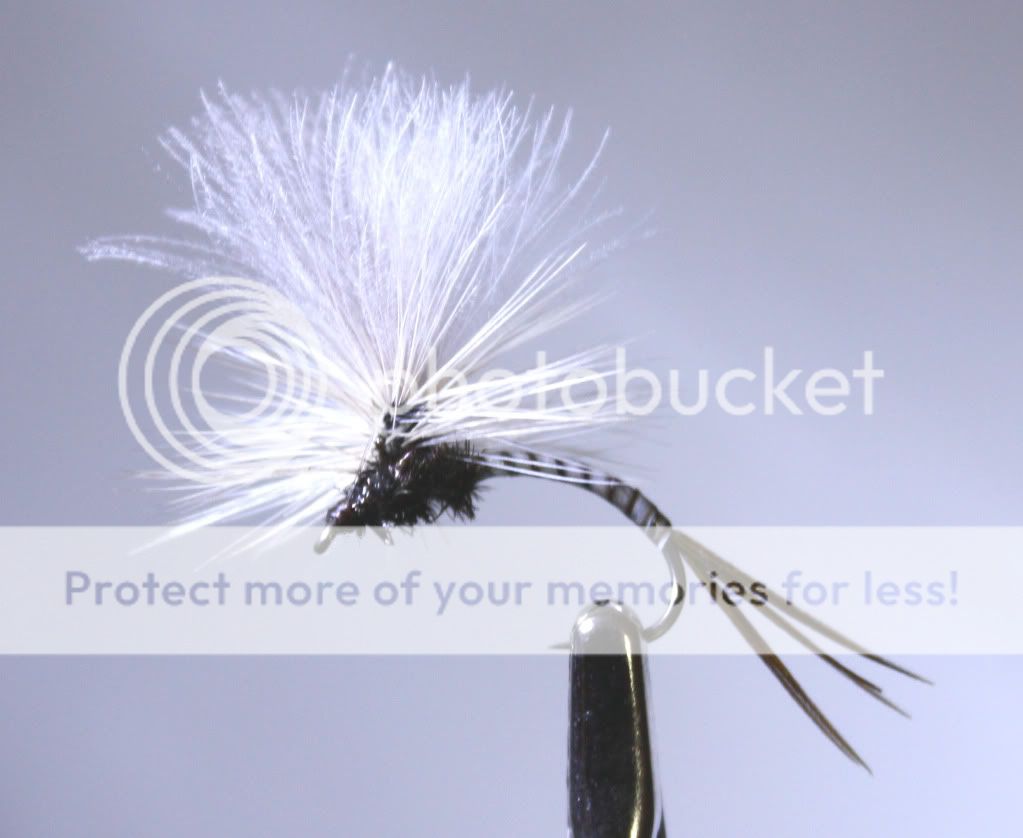 Quilled patterns | Washington Fly Fishing Forum